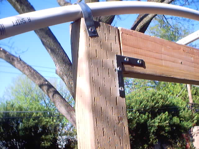 Lawrence Family Greenhouse - Framing